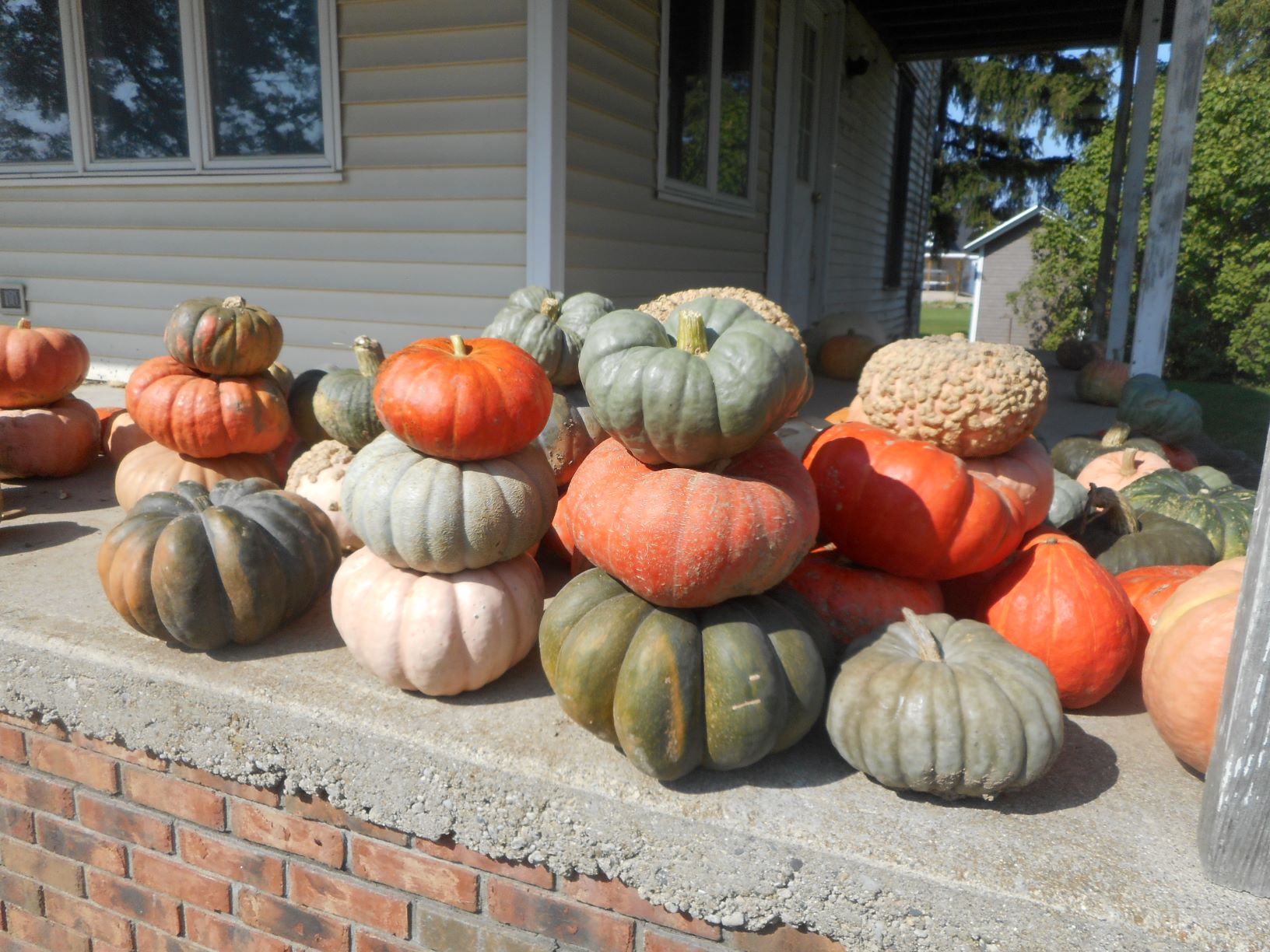 Pumpkin Roadside Stand | WELCOME TO CRISTY'S BLOG