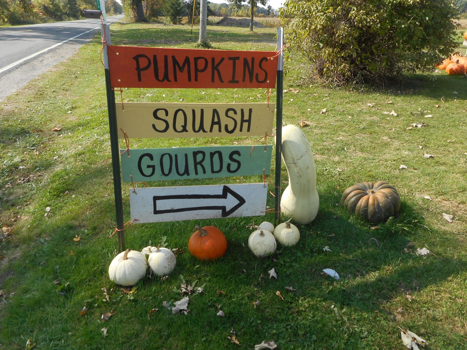 Pumpkin Roadside Stand | WELCOME TO CRISTY'S BLOG