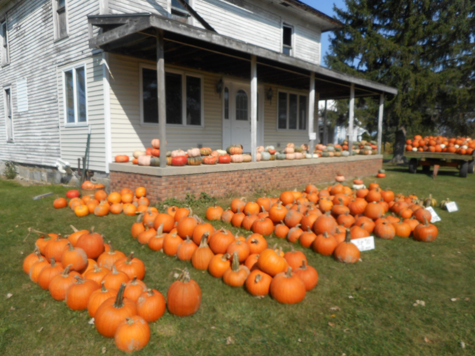 Pumpkin Roadside Stand | WELCOME TO CRISTY'S BLOG